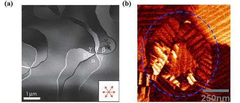 A Tem Dark Field Image Of Cloverleaf Domain Patterns In Ferroelectric