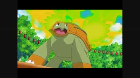 Grotle Vs Rhyperior Hd Youtube