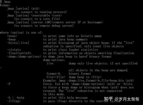 Java应用故障排查工具 Jmap命令 知乎