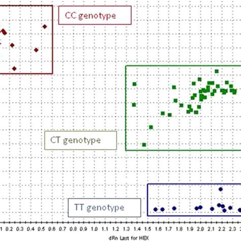 Pcr Realtime Plot For 674ct Vegf Polymorphism Download Scientific