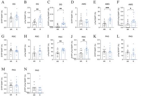 Fig S5 Engram Reactivation Is Increased In The Dg Amg And Rsc After Download Scientific