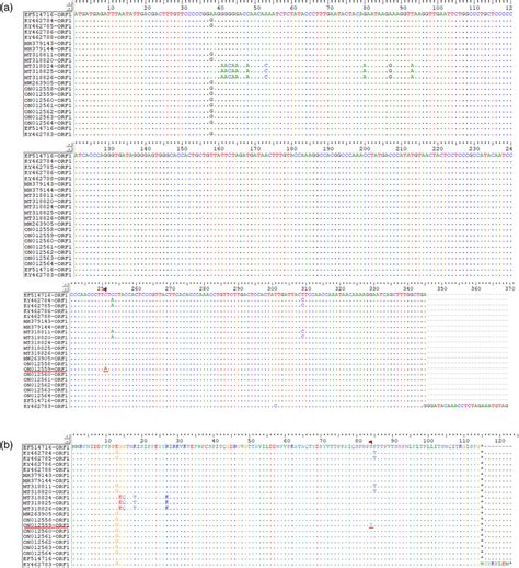 Analysis Of Nucleic Acid Sequence And Amino Acid Sequence Of P1 Orf1