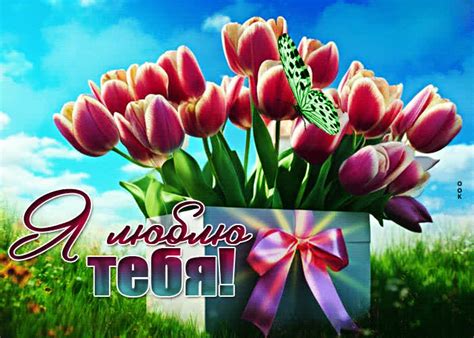 Шикарная и яркая гиф открытка с тюльпанами Я люблю тебя Скачать бесплатно на