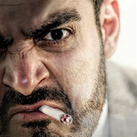 محبي ابو حواجب شو