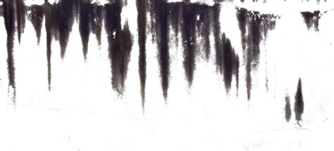 Tree Bark Texture Drawing At PaintingValley Com Explore Collection Of Tree Bark Texture Drawing