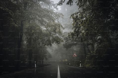 안개 낀 날 숲 한가운데의 길 사진 Unsplash의 변덕스러운 자연 이미지