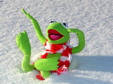 Images Gratuites Du Froid Hiver Grenouille Jouet Saison Jeter Sport Dhiver Amusement