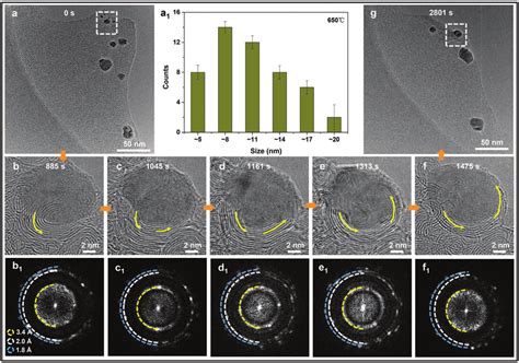 In Situ Evolution Of Gss Growth By Base Growth A The Initial State