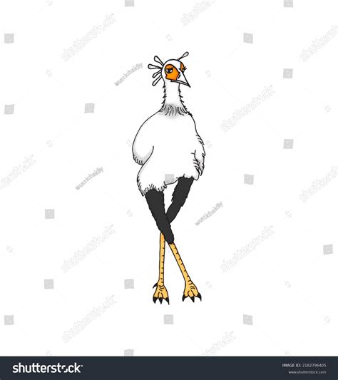 Sexy Bird Cartoon Draw Freehand On 库存插图 2182796405 Shutterstock