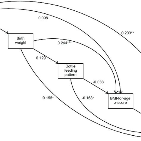 Winters Classification Vertical Impaction The Long Axis Of The Third
