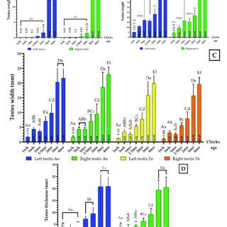 Left And Right Testes Weight Length Width And Thickness Evolution At Download Scientific