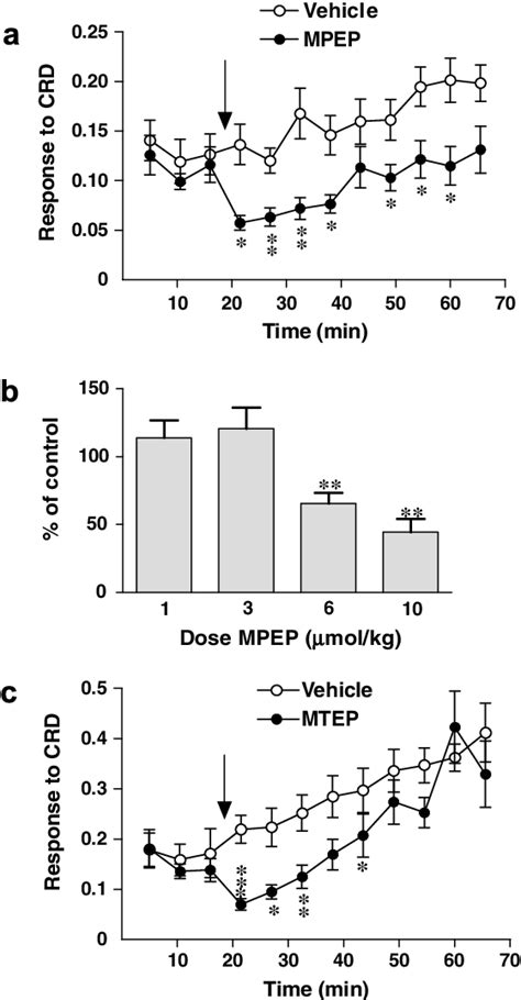 G Force Semantic Scholar