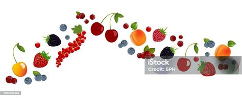 여름 열매 배너 딸기 블랙베리 블루베리 체리 라즈베리 붉은 건포도 잎이 있는 살구 과일 세트 벡터 만화 일러스트레이션 개체 그룹에 대한 스톡 벡터 아트 및 기타 이미지