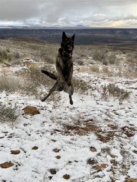 Rocket Power Scrolller