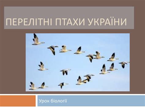 Презентація Перелітні птахи України