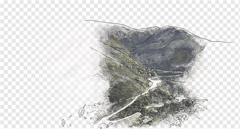 Tree Work Of Art Tree Artwork Nature Topo Png PNGWing