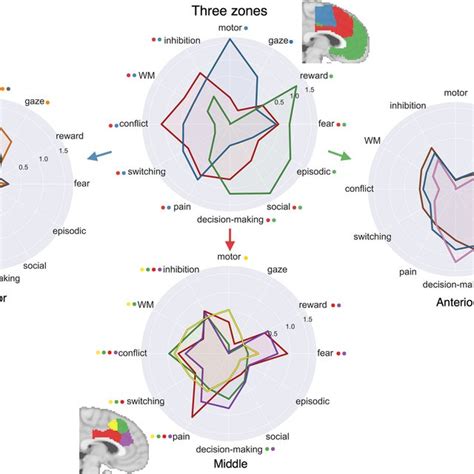 Coactivation Based Clustering Of Mfc Results A Mid Sagittal View At