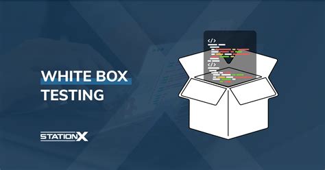 what is white box testing and how you can benefit from it
