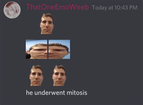 Linus Rule R Linustechtips