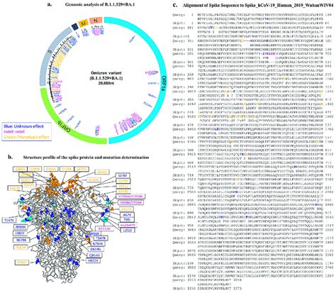 Full Length Genome Structure Of The Ikr Omicron Variant B11529