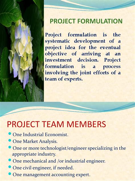 project formulation pdf