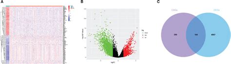 Integrated Machine Learning Identifies A Cellular Senescence Related Prognostic Model To Improve