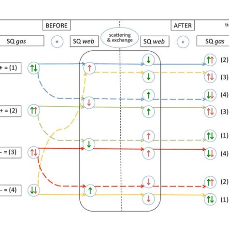 Schematic Representation Of 3d Combinatorial Dynamics Relevant For A Download Scientific