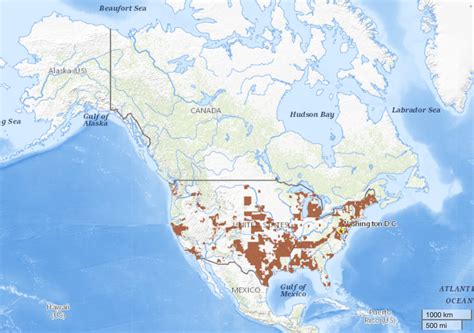 Ned Open Topo Data