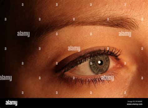 Angular Vision Eyebrows Well Defined Eyelashes Well Defined Eye Well Angular Vision Eyebrows Well Defined Eyelashes Well Defined Eye Well