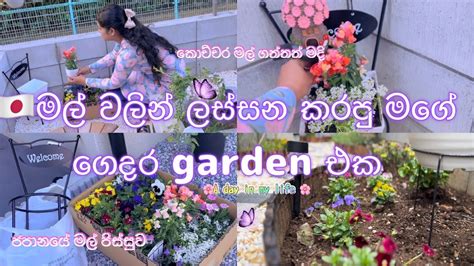 🌷ජපානයේ සීත කාලෙටත් ලස්සනට පිපෙන මල් 🌷පුංචි උනත් මල් ගොඩයි🌷හොදවෙන්නැති මල් පිස්සුව🌷life In Japan