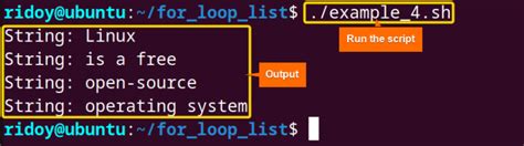 How To Iterate Through List Using For Loop In Bash LinuxSimply