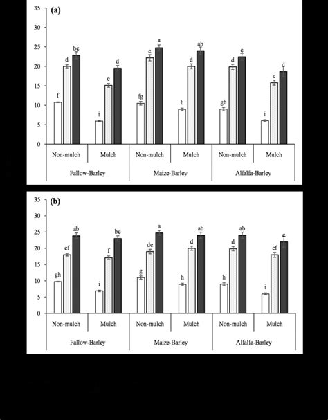 Influence Of Nitrogen Application And Sorghum Mulch On No 3 N In
