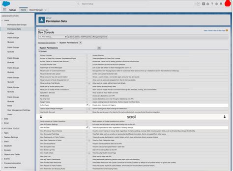 Enabling Developer Console Using Permission Sets For Non Admin Users Sfdc Madhukar