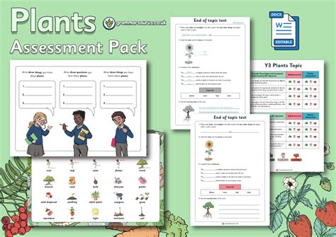 Year 1 Science Plants Assessment Pack Grammarsaurus