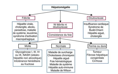 Hépatologie De Lenfant