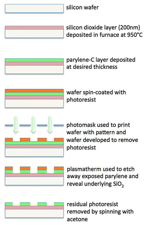 cell patterning on photolithographically defined parylene c sio2
