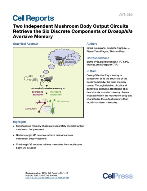 Pdf Two Independent Mushroom Body Output Circuits Retrieve The Six