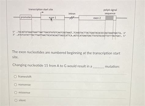 [solved] transcription start site polya signal intron sequence promoter