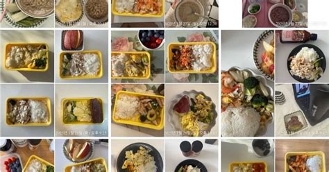 맞춤 다이어트 식단 제공 리나쌤 숨고 숨은고수