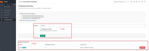 gitlab分支保护设置教程 csdn博客