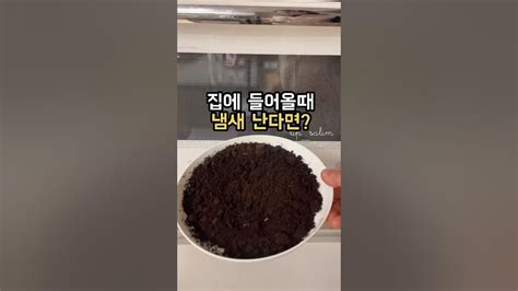 집안냄새없애는 꿀팁 팁끌모아살림 Youtube