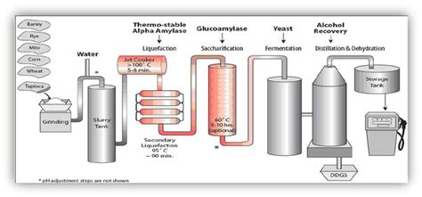 Bioethanol Production Intechopen