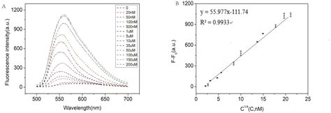 Rolling Circle Amplification Rca Based Biosensor System For The Fluorescent Detection Of Mir