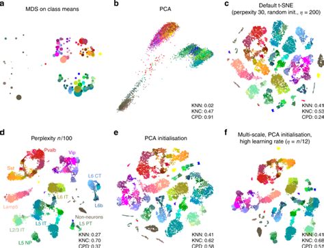 Dimensionality Reduction Pca Tsne Umap Auriga It