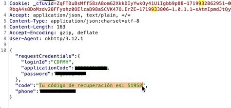 Resecurity Api Security The Importance Of Vulnerability Assessment And Penetration Testing Vapt