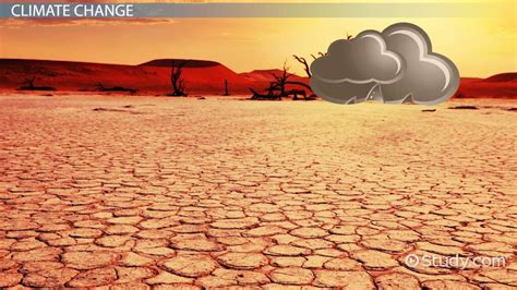 Environmental Issues Pictures