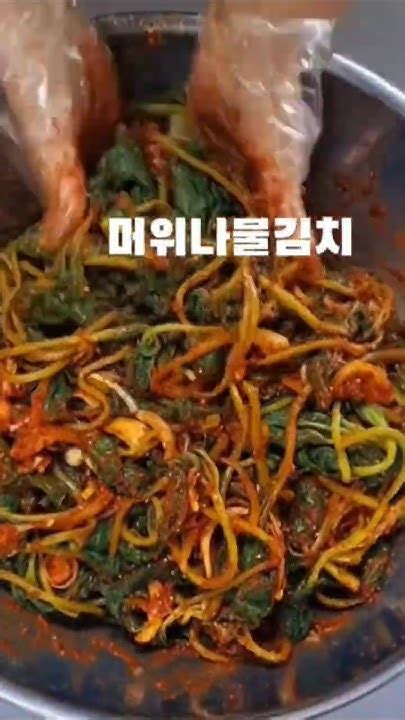 쌉싸름한 약용식물 머위김치만드는법 머위나물 머위김치 머위김치만드는법 Youtube