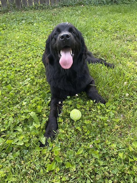 Fetch Sessions Get Her Gassed But She Loves It More Than Anything R