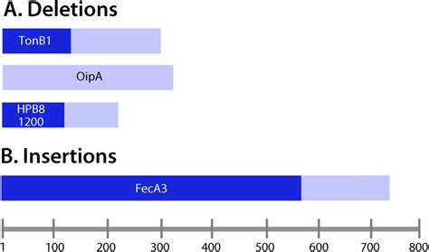 analysis of insertions and deletions in coding regions a deletions