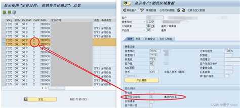 Sap Sd 创建销售订单报错：无定价过程能被确定 Csdn博客